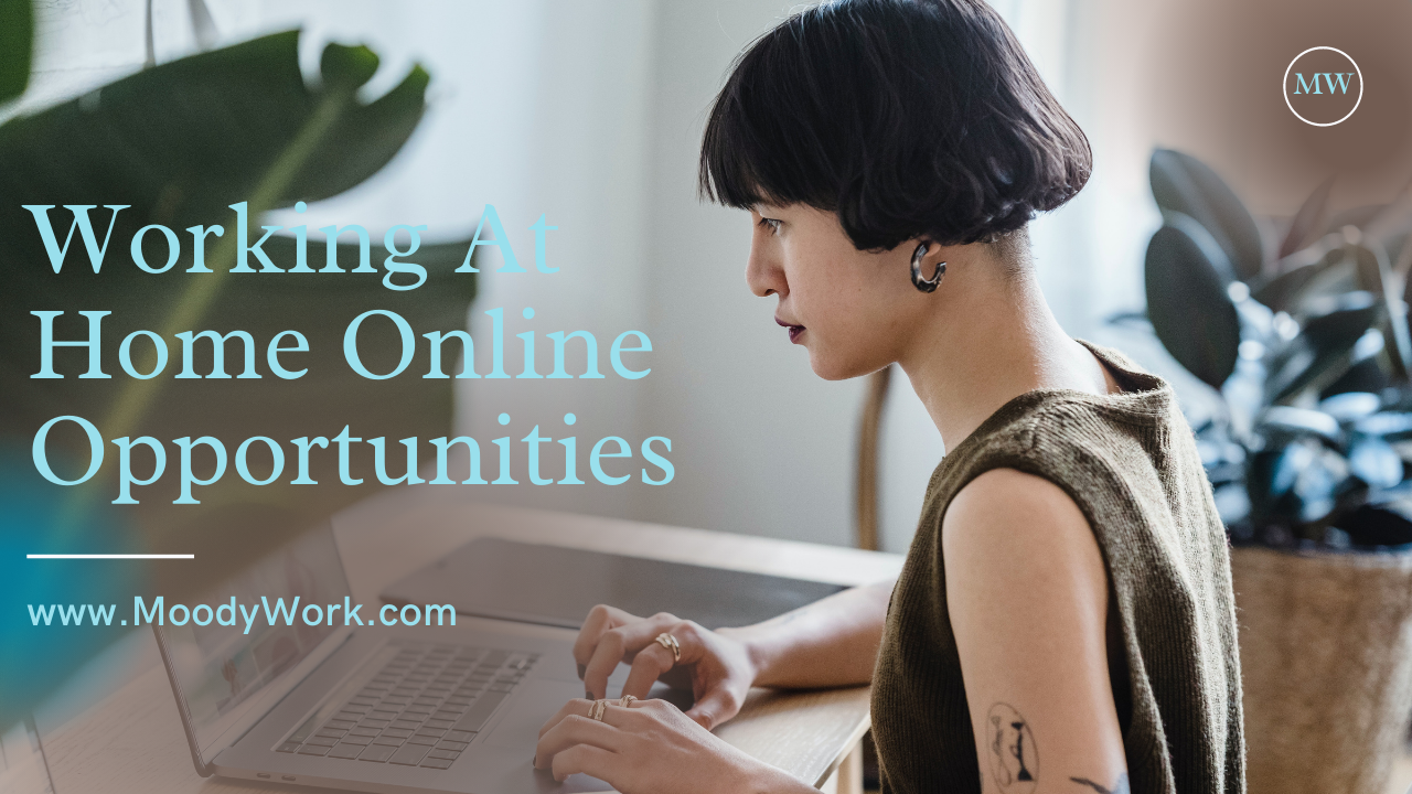 Moody Work - Your Work. Your Hustle. Your Future.